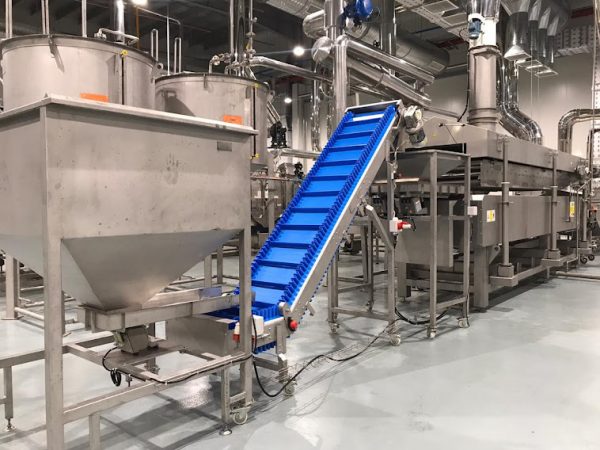 Belt Conveyor Systems | Food Grade Process Line | Fabcon India