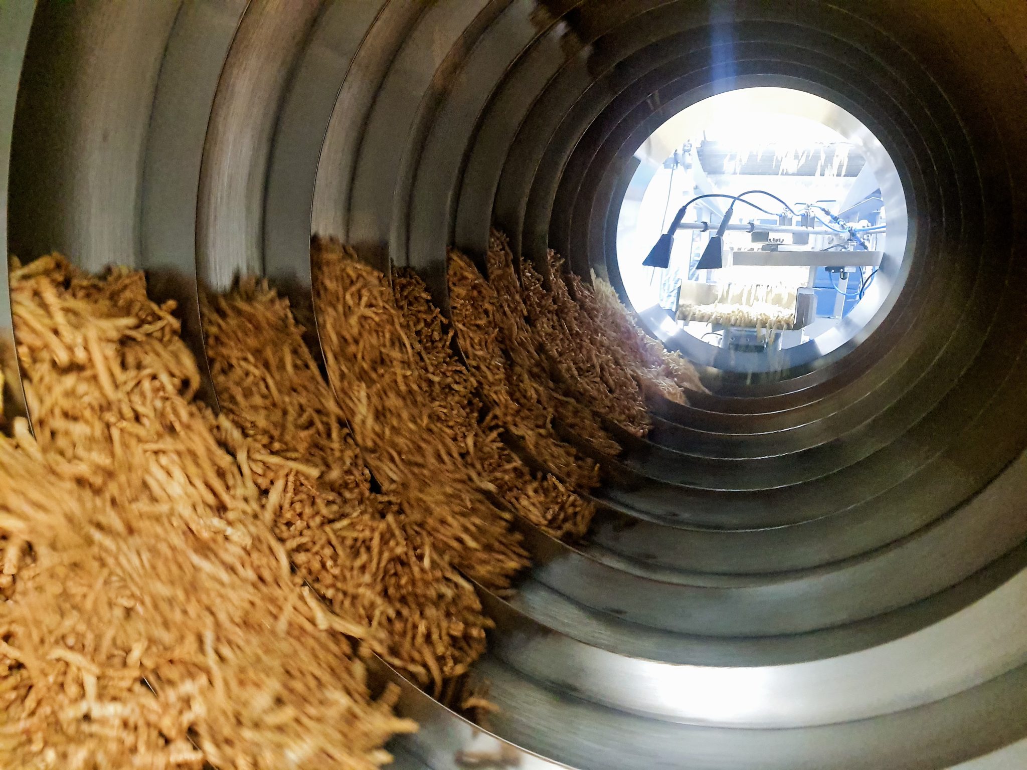 Snacks Flavoring Seasoning & Coating Solutions | Fabcon India