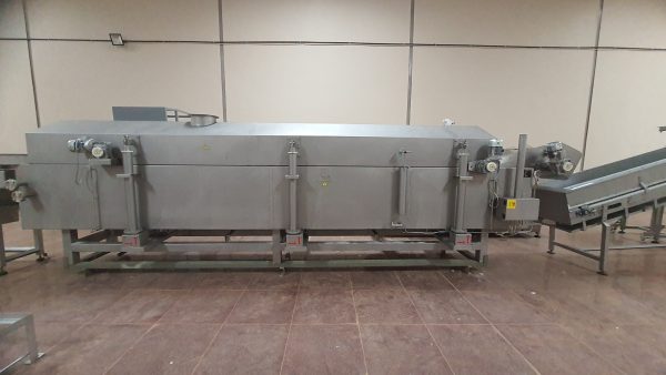 Automatic Continuous Food Fryer for Snacks, Samosas & Chips | Fabcon India