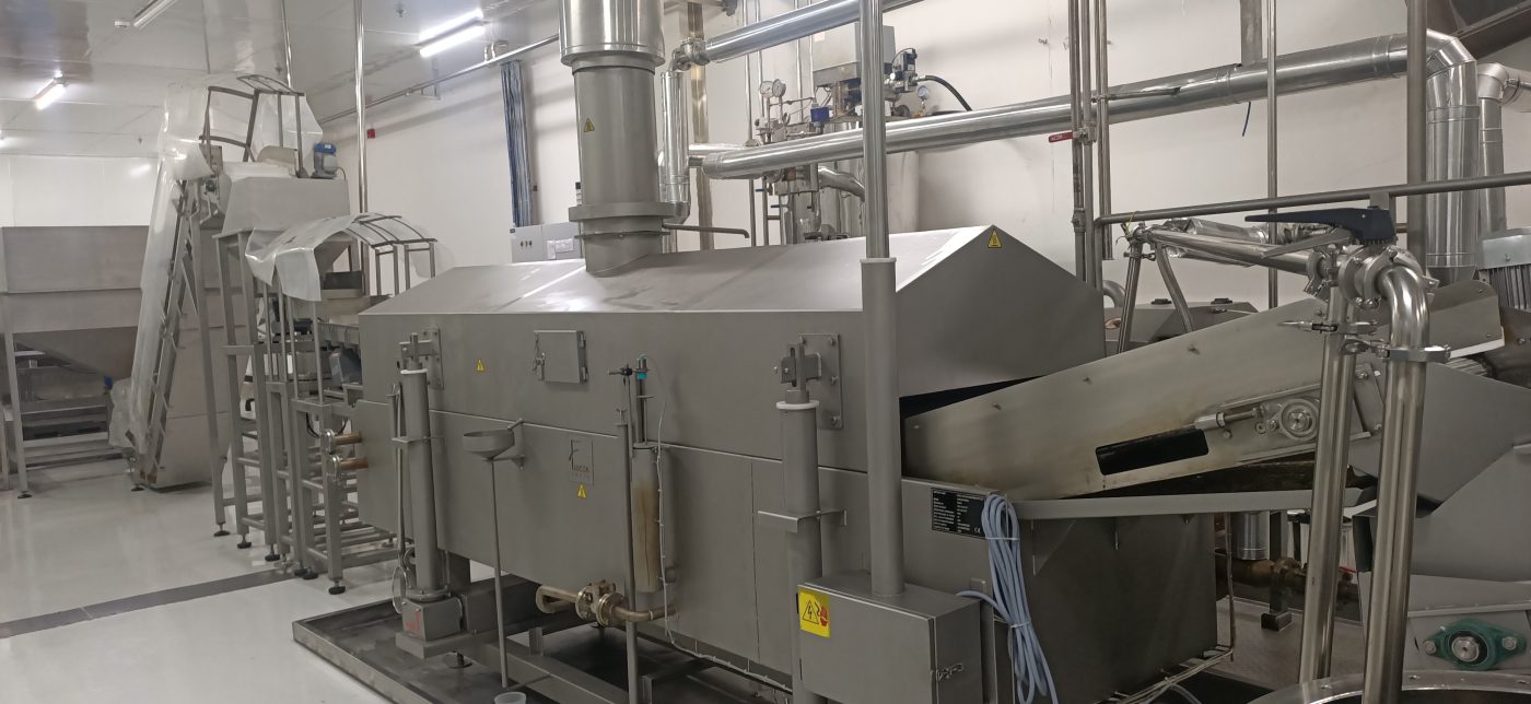 Automatic Continuous Food Fryer for Snacks, Samosas & Chips | Fabcon India