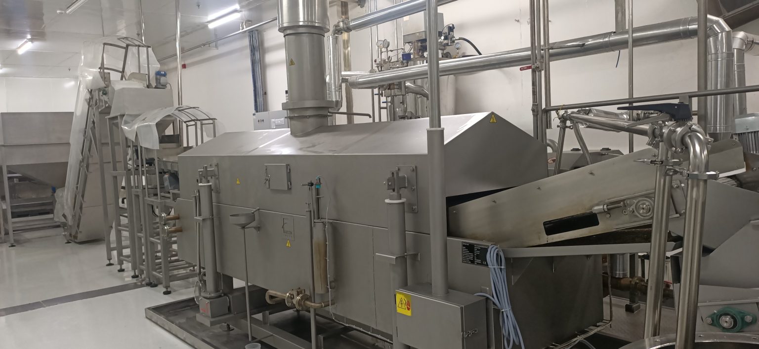 Automatic Continuous Food Fryer for Snacks, Samosas & Chips | Fabcon India